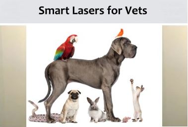 Microlight Cold Laser Sales | ML830